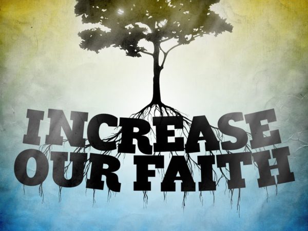 Do We Need More Faith? – Doug Husen